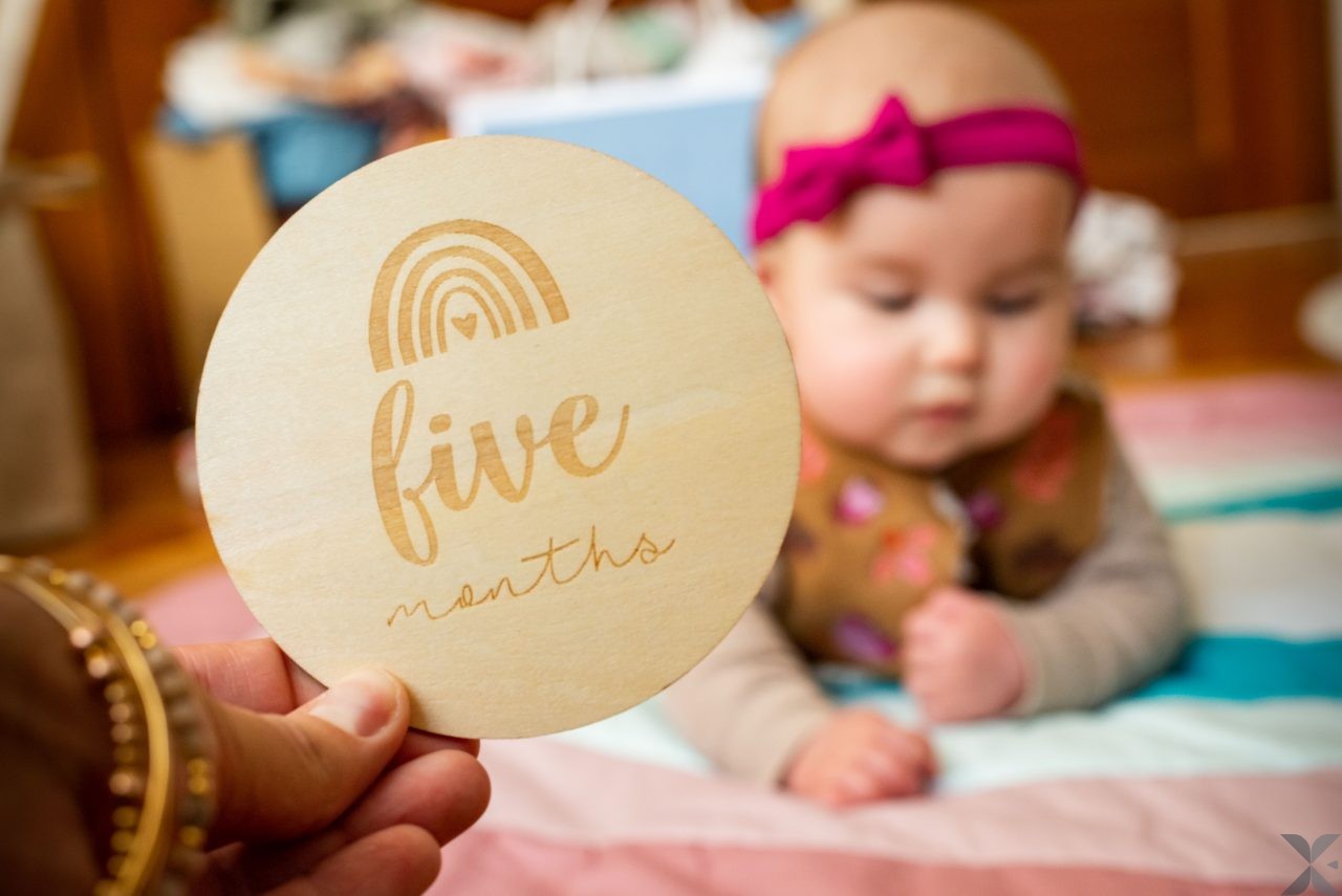 Ma première année en photo